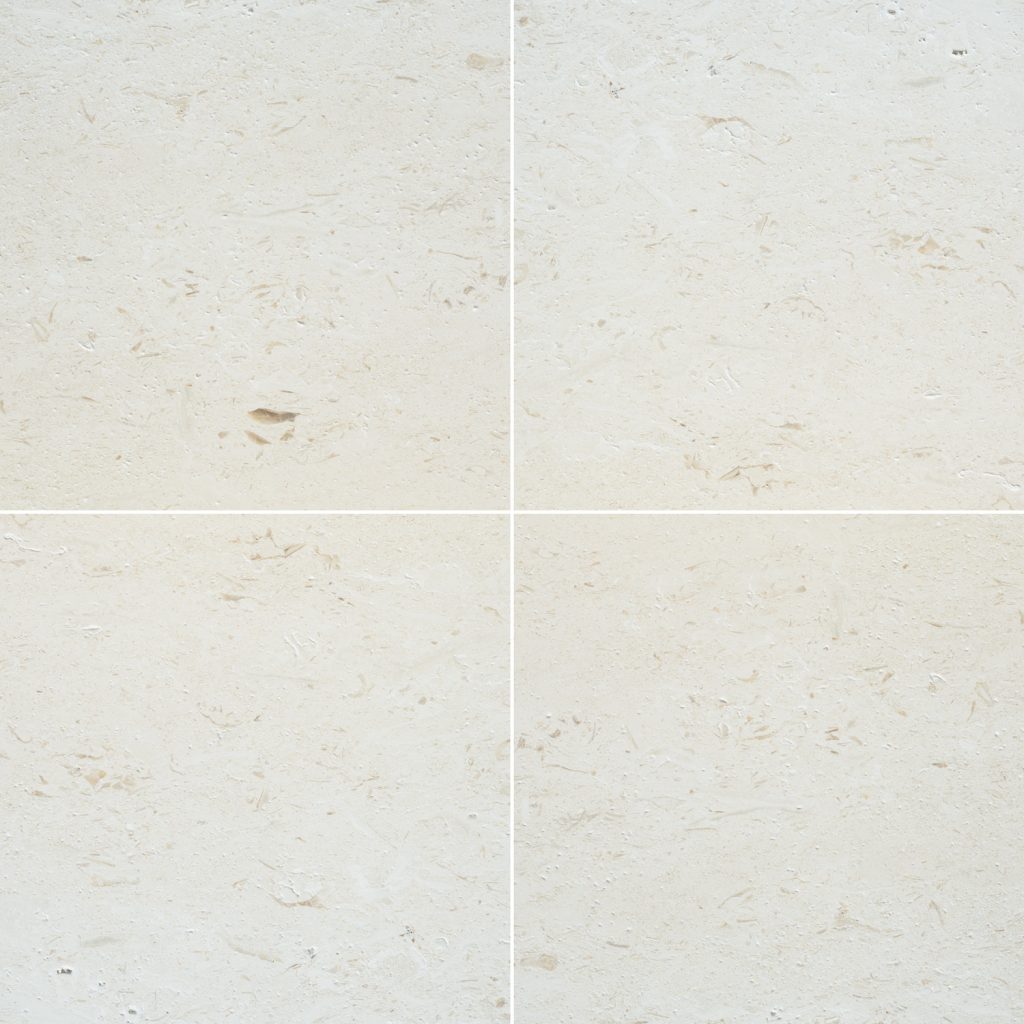 Shell Reef – DRL Dış Ticaret